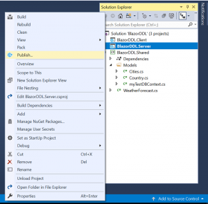 How to Publish ASP.NET Core Blazor Application to IIS – ASP.NET Hosting ...
