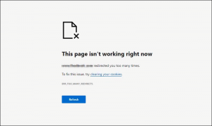 5 Steps to Fix ERR_TOO_MANY_REDIRECT - ASP.NET Hosting Tips & Guides